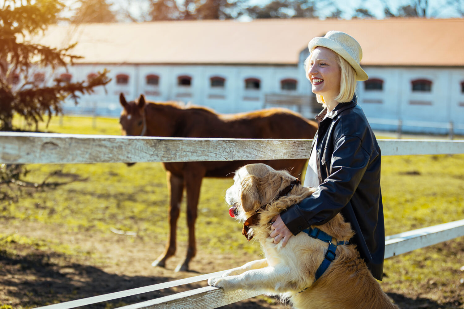 Animal Injury Claims